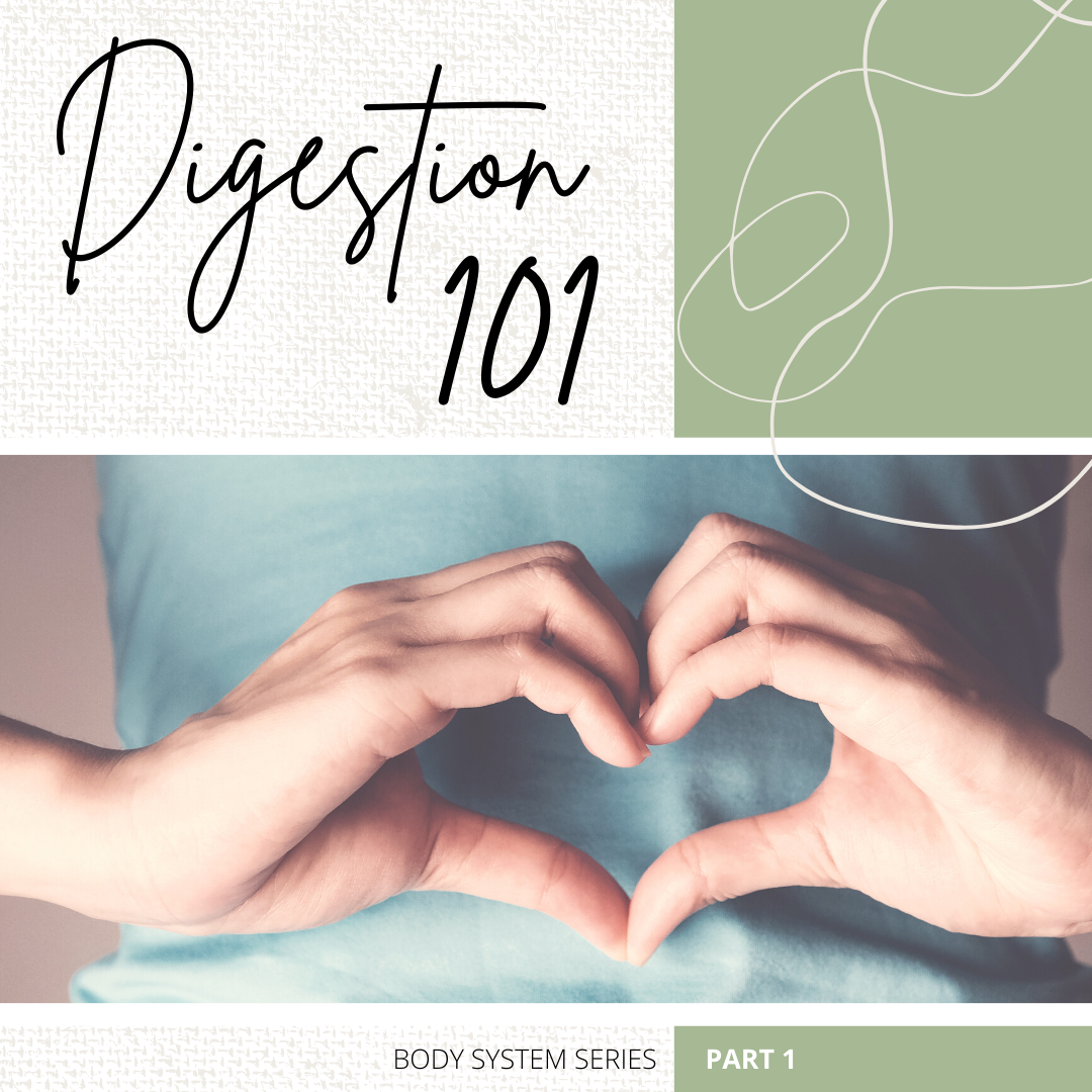 Body System Series Part 1: Digestion 101 | Christine Post